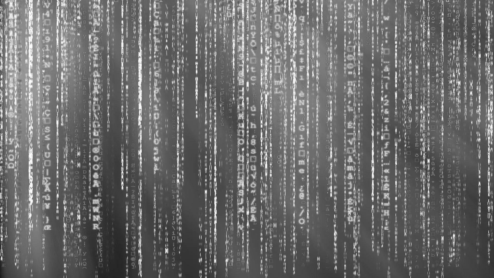 Black Matrix Wallpapers - Top Free Black Matrix Backgrounds ...