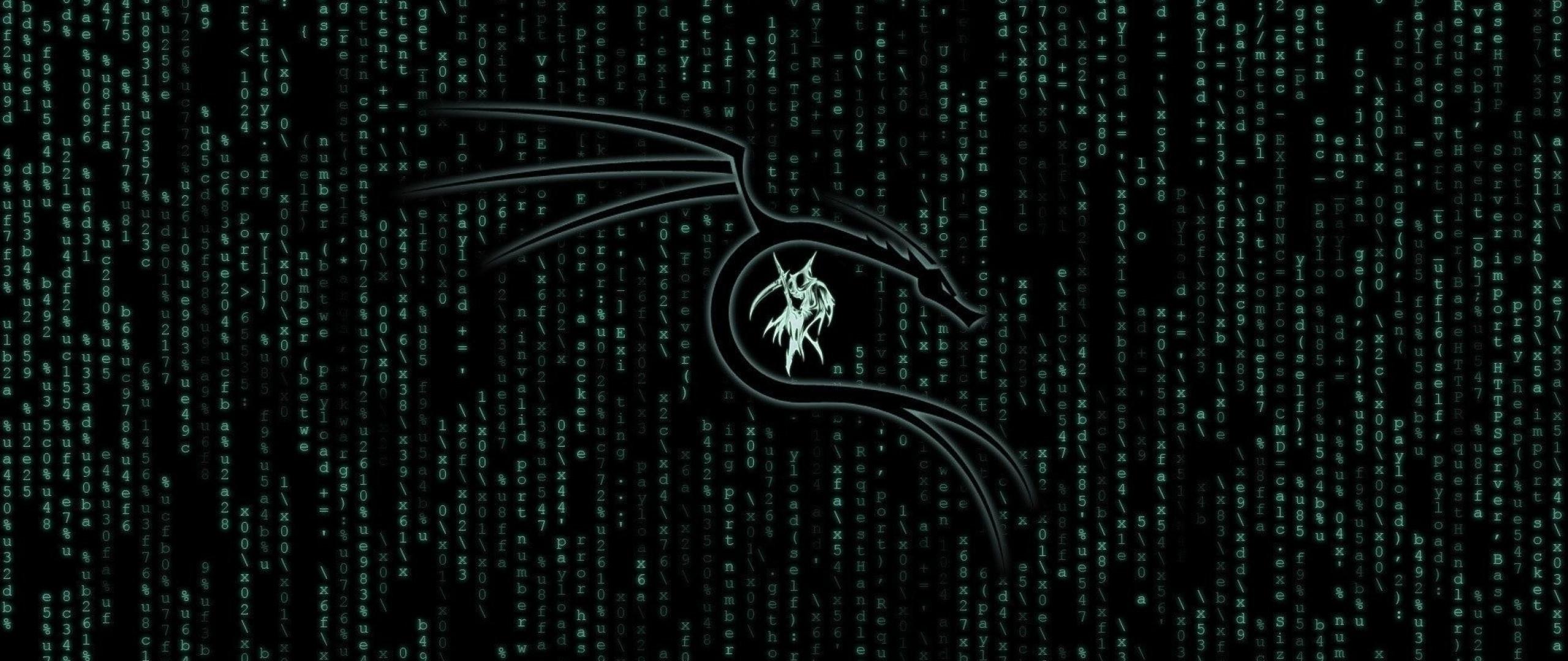 Kali Linux Windows Wallpapers - Top Free Kali Linux Windows Backgrounds ...