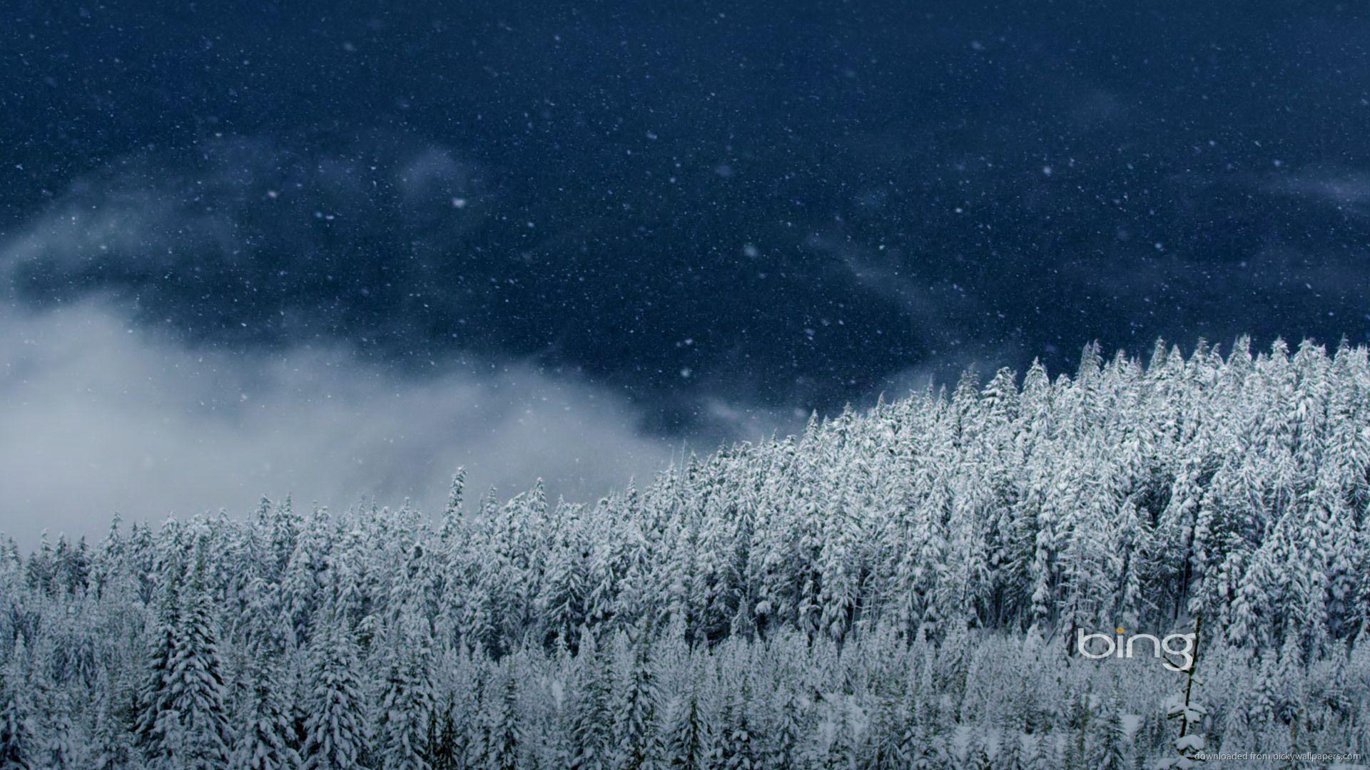 Starry Forest Wallpapers - Top Free Starry Forest Backgrounds ...