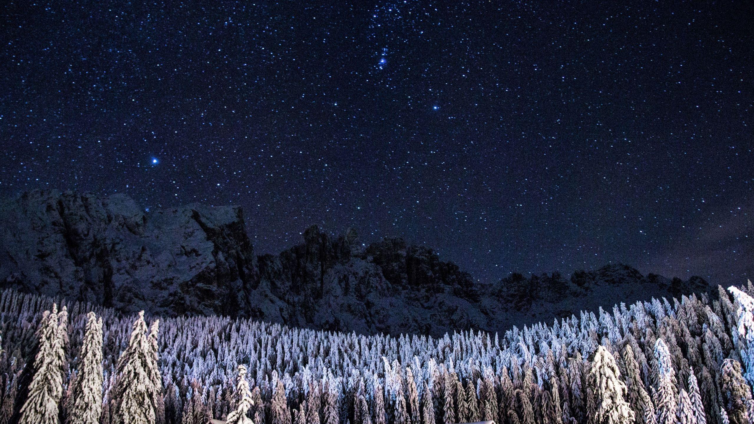 Starry Forest Wallpapers - Top Free Starry Forest Backgrounds ...