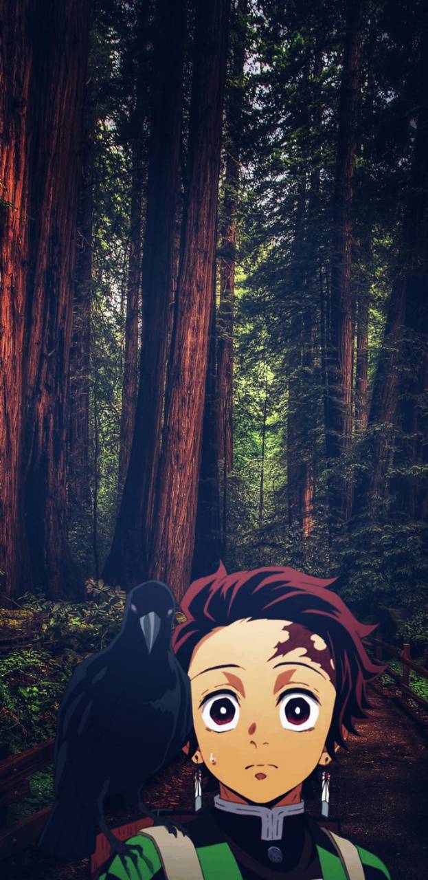 Demon Forest Wallpapers - Top Free Demon Forest Backgrounds ...