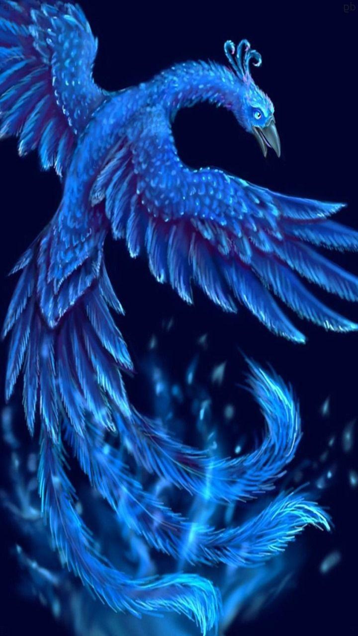 Phoenix Symbol Wallpapers - Top Free Phoenix Symbol Backgrounds ...