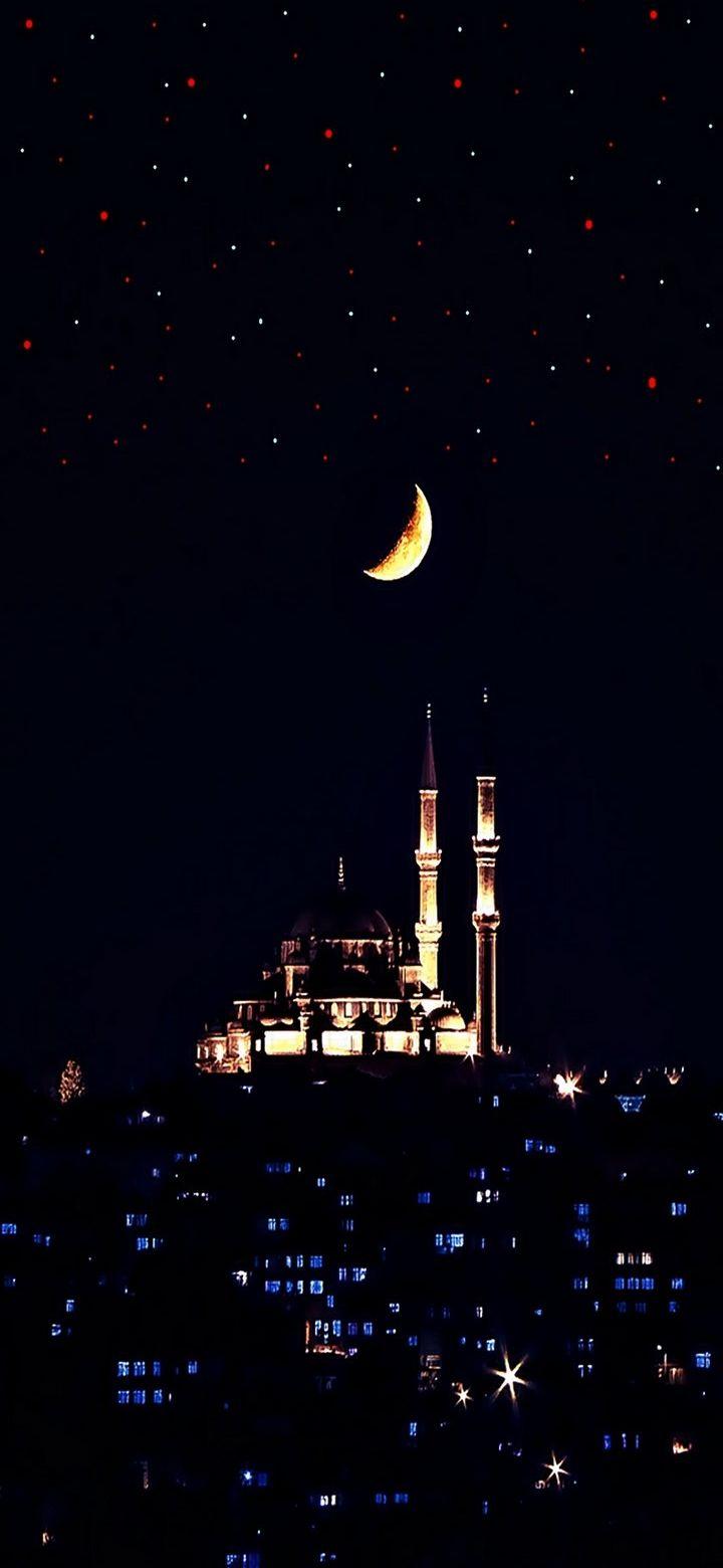 Turkey Phone Wallpapers - Top Free Turkey Phone Backgrounds ...