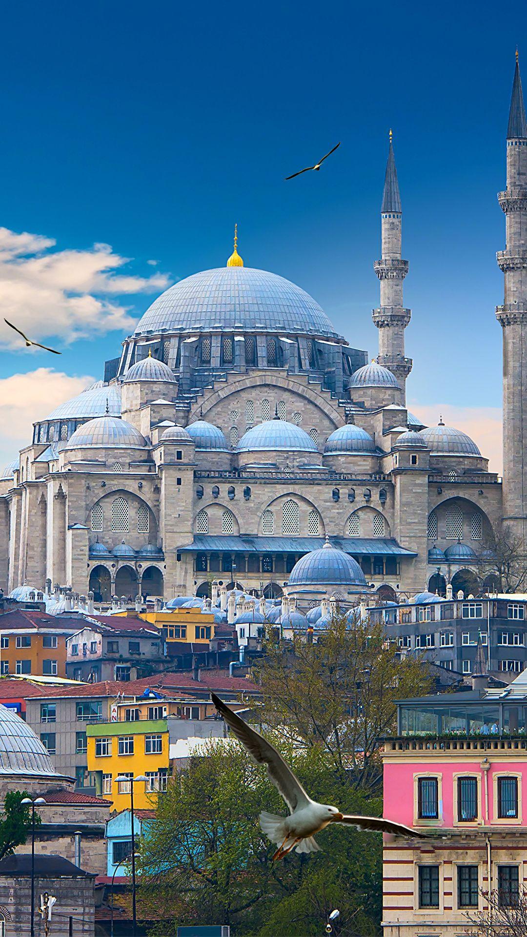 Turkey Phone Wallpapers - Top Free Turkey Phone Backgrounds ...