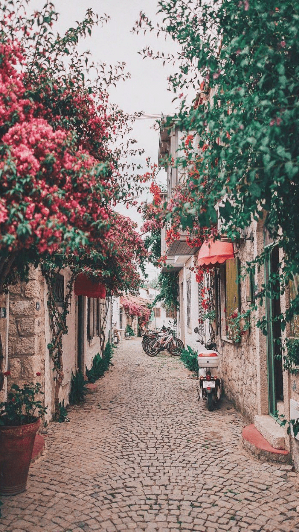 Turkey Phone Wallpapers - Top Free Turkey Phone Backgrounds ...