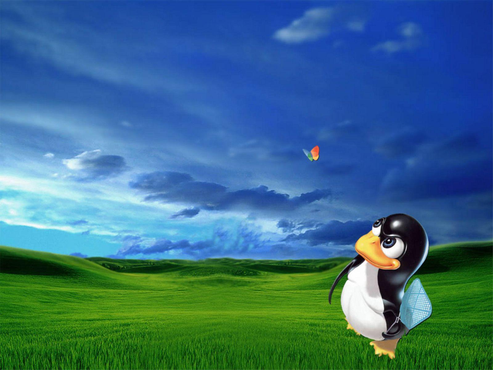 Linux Windows Wallpapers - Top Free Linux Windows Backgrounds ...