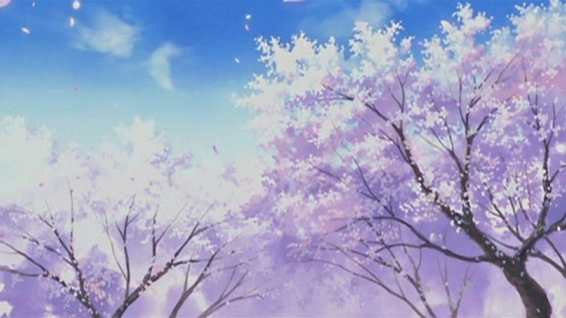 Purple Anime Sky Wallpapers - Top Free Purple Anime Sky Backgrounds ...