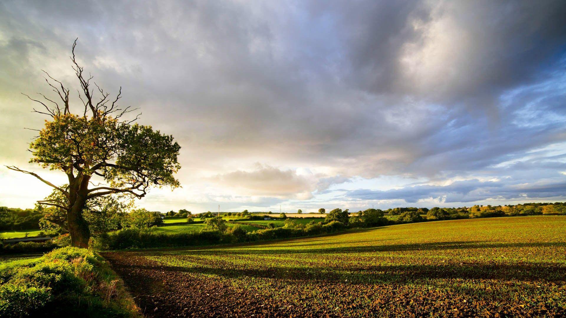 British Countryside Wallpapers - Top Free British Countryside ...