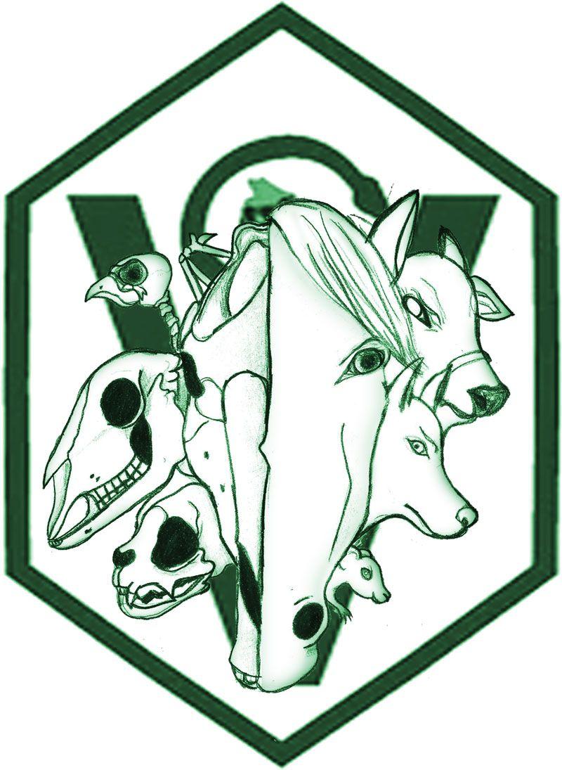 Veterinary Medicine Wallpapers - Top Free Veterinary Medicine ...