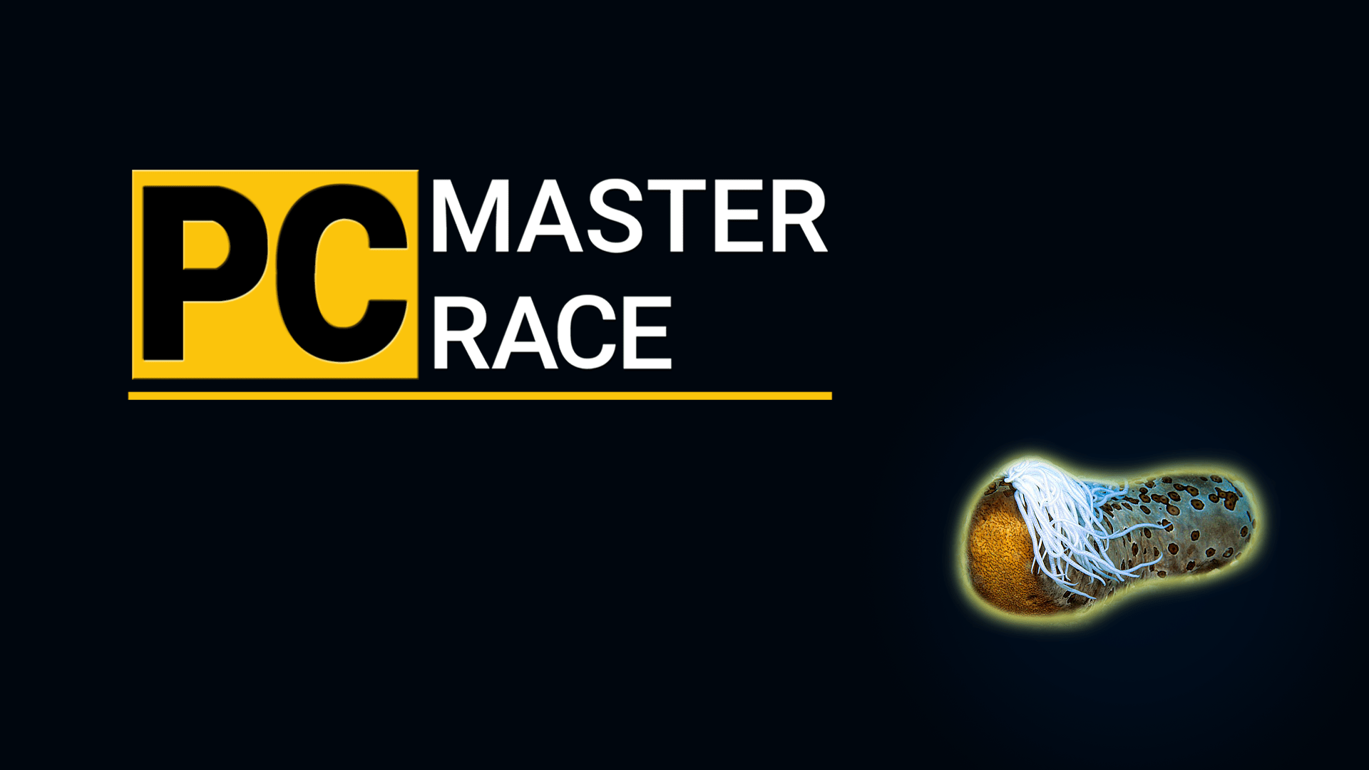 PCMR Wallpapers - Top Free PCMR Backgrounds - WallpaperAccess