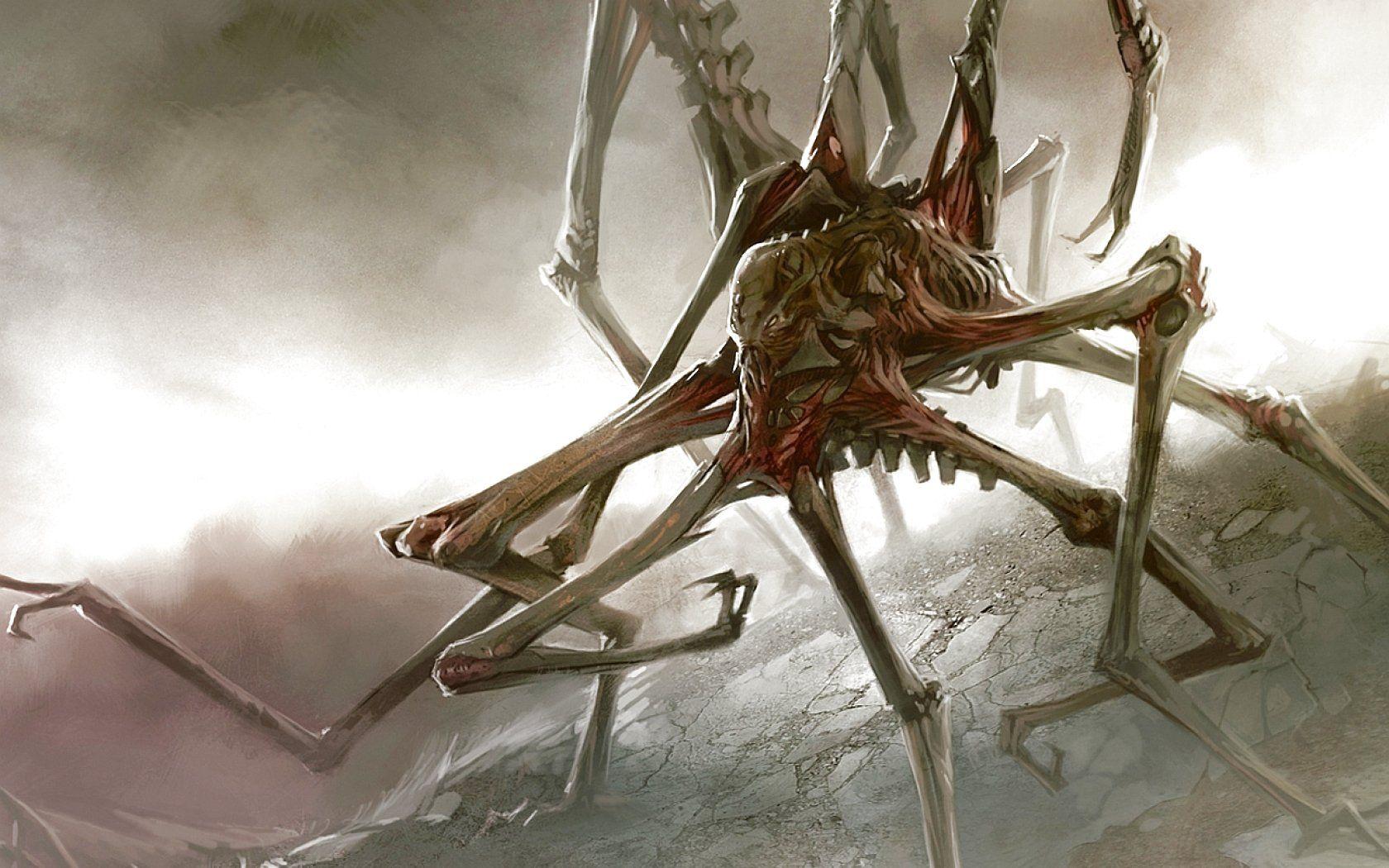 Scary Spider Wallpapers - Top Free Scary Spider Backgrounds ...