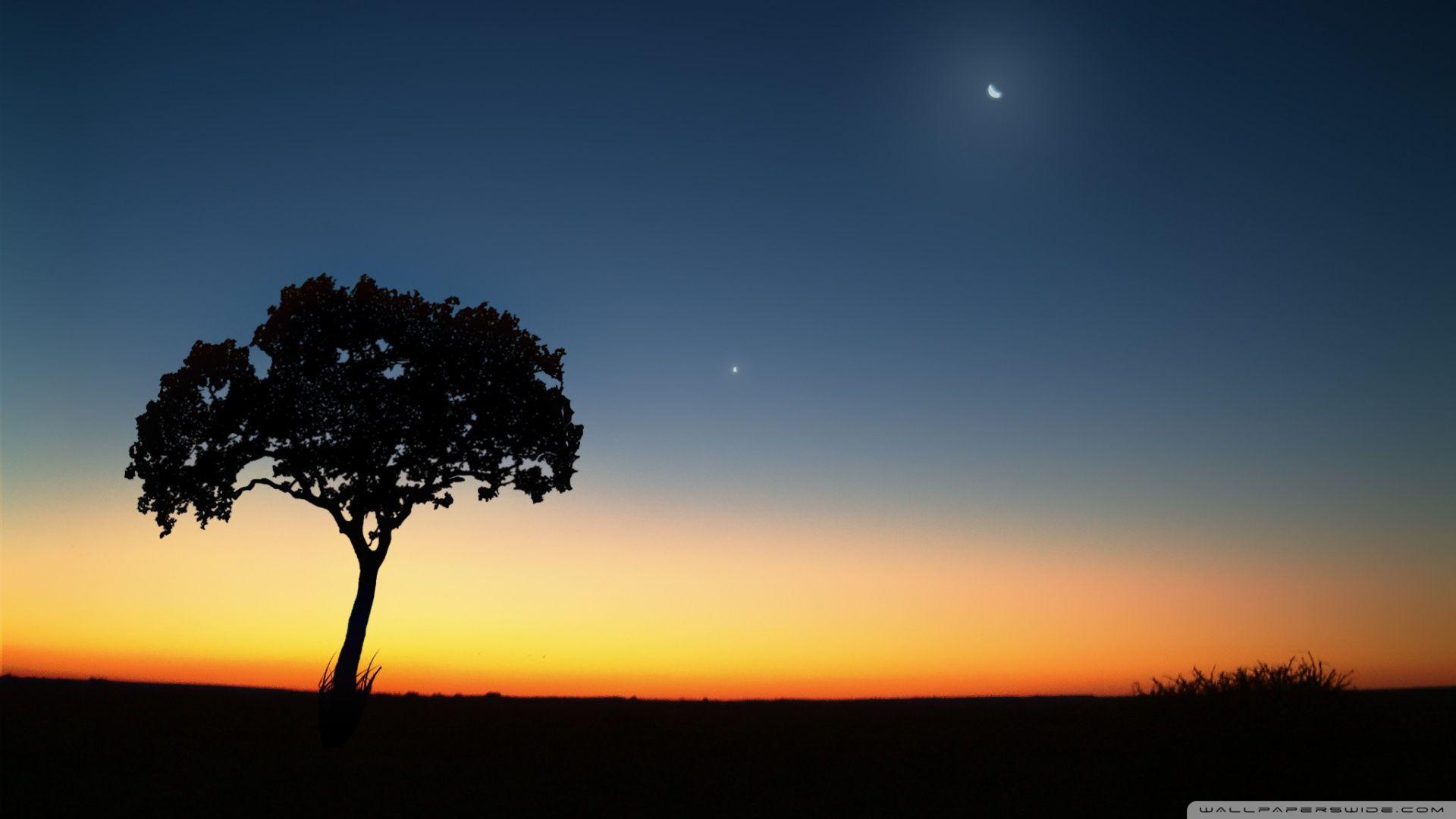 Sun Landscape Wallpapers - Top Free Sun Landscape Backgrounds ...