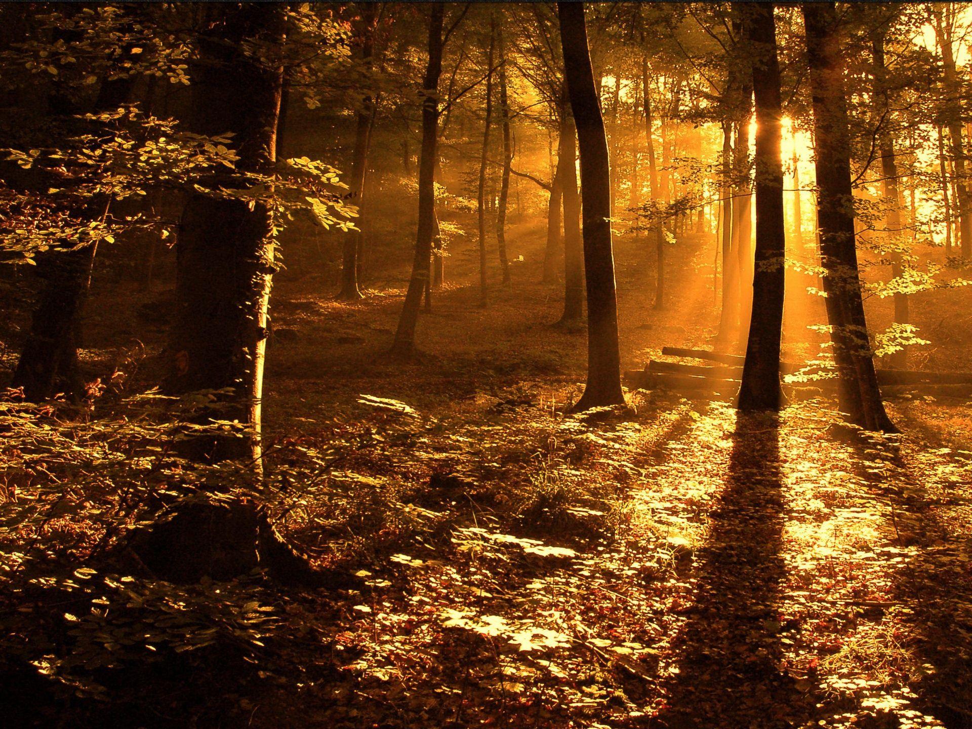 Sun Landscape Wallpapers - Top Free Sun Landscape Backgrounds ...