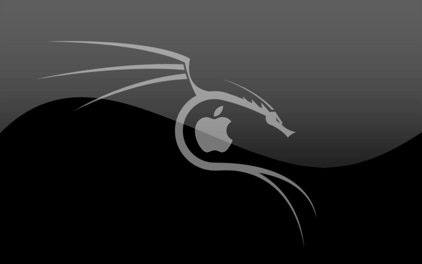 Metasploit Wallpapers - Top Free Metasploit Backgrounds - WallpaperAccess