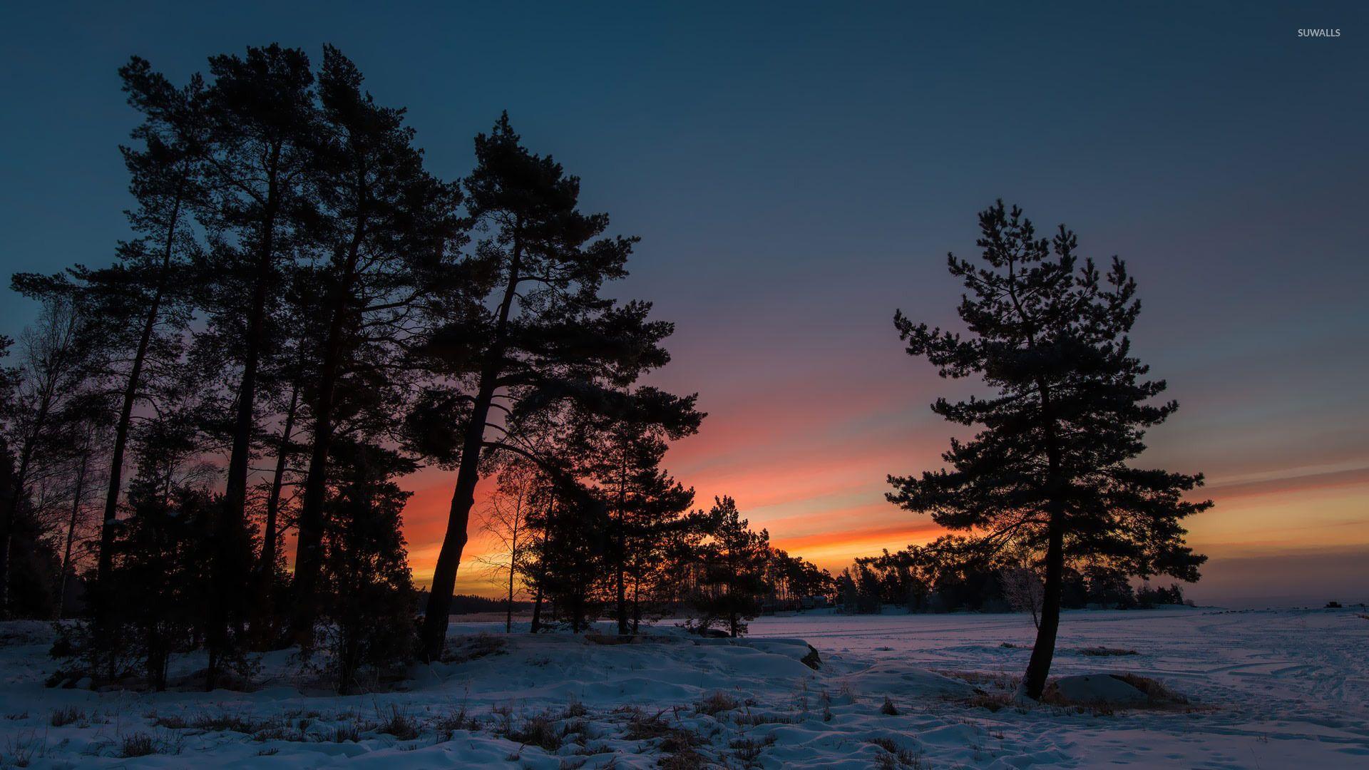 Winter Dusk Wallpapers - Top Free Winter Dusk Backgrounds - WallpaperAccess