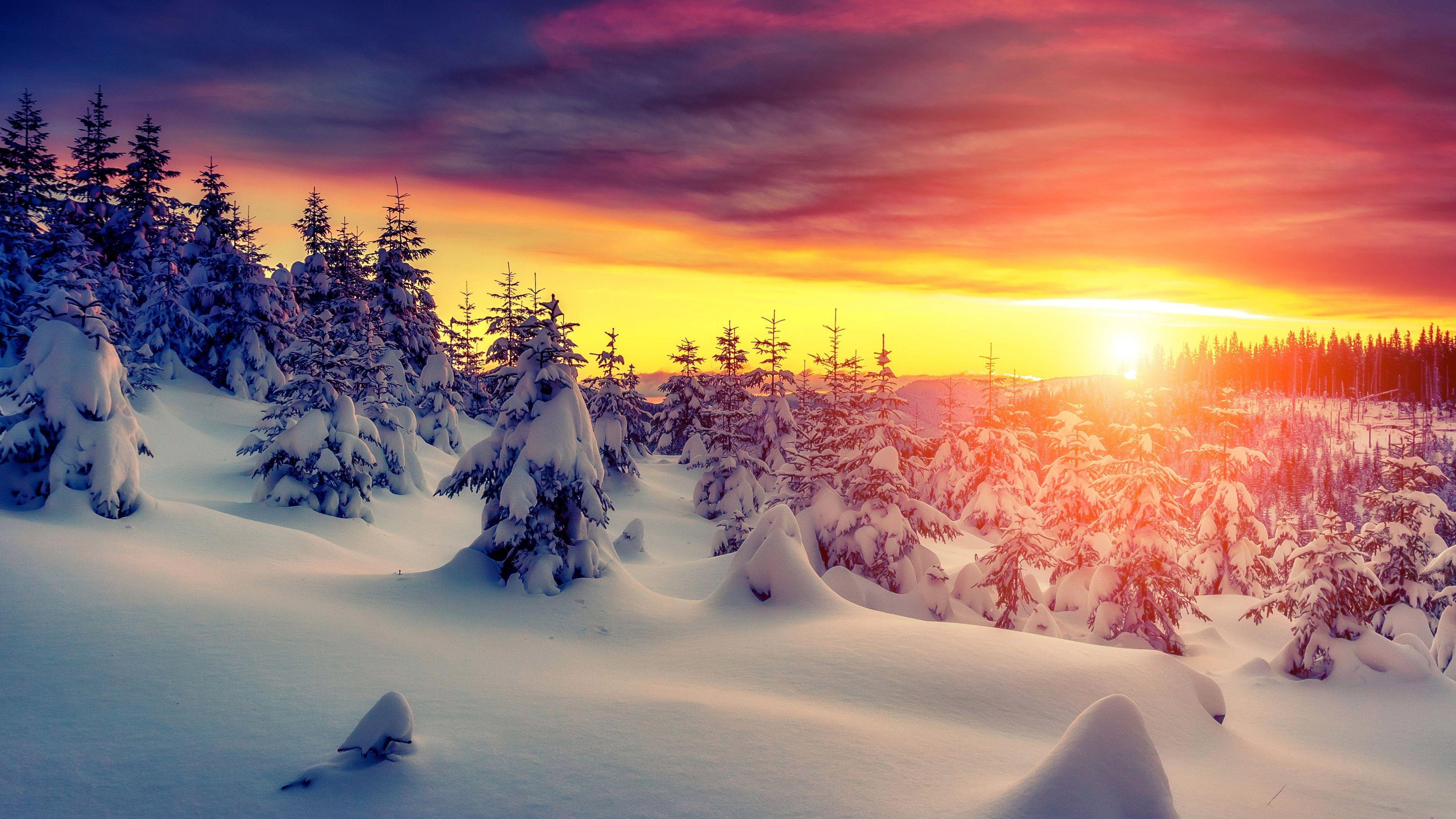Winter Dusk Wallpapers - Top Free Winter Dusk Backgrounds - WallpaperAccess