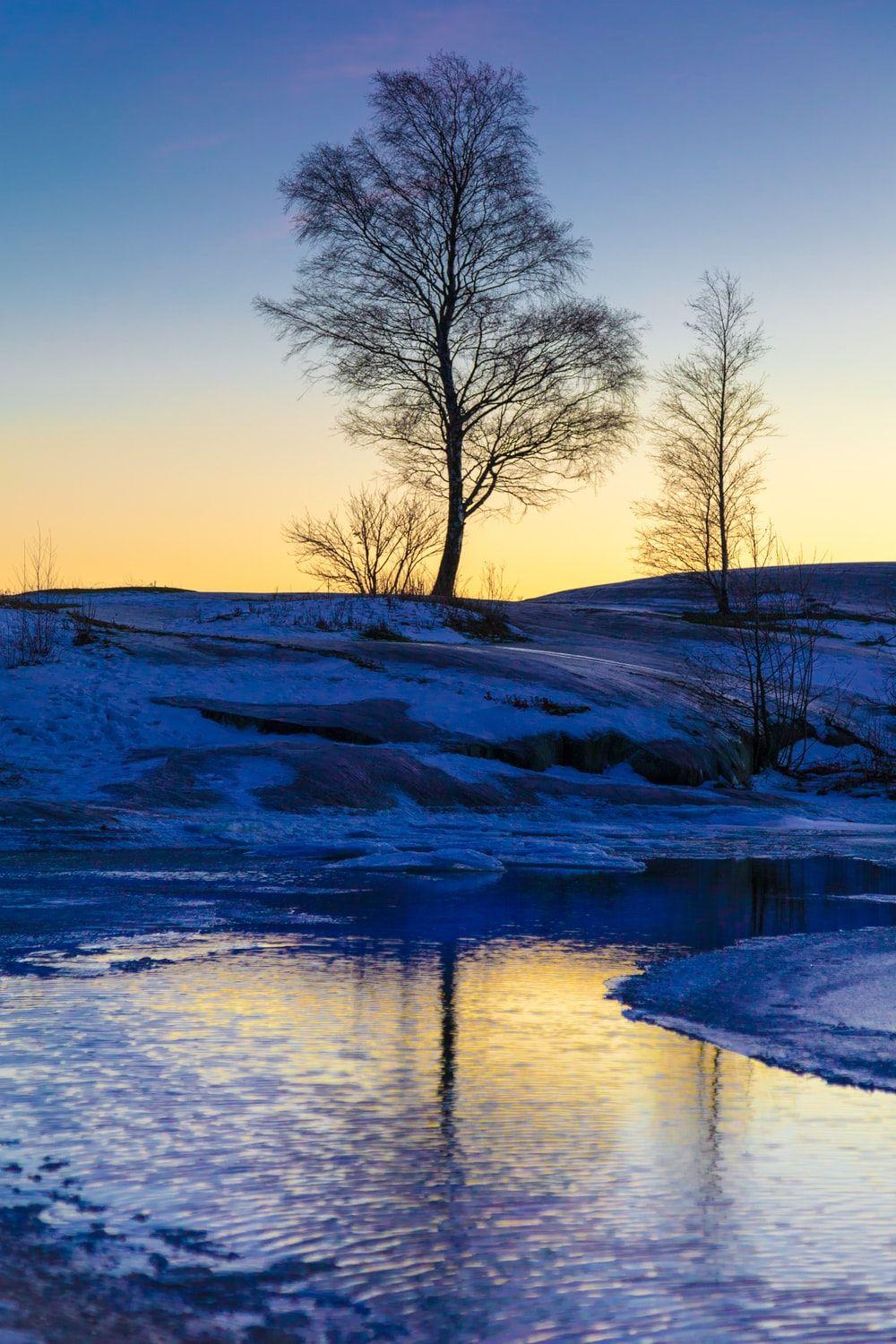 Snowy Sunset Wallpapers - Top Free Snowy Sunset Backgrounds ...