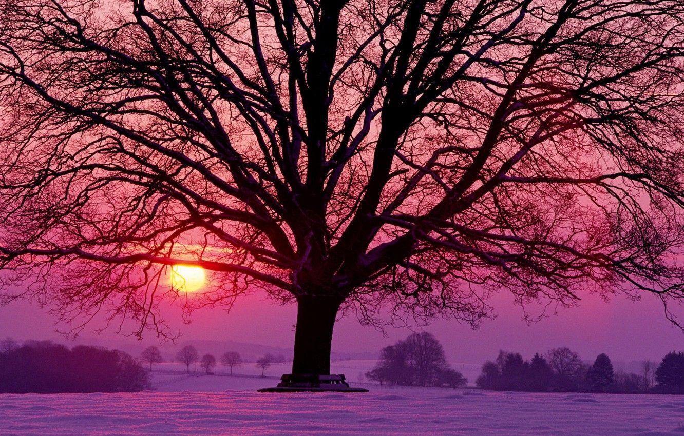 Winter Dusk Wallpapers - Top Free Winter Dusk Backgrounds - WallpaperAccess