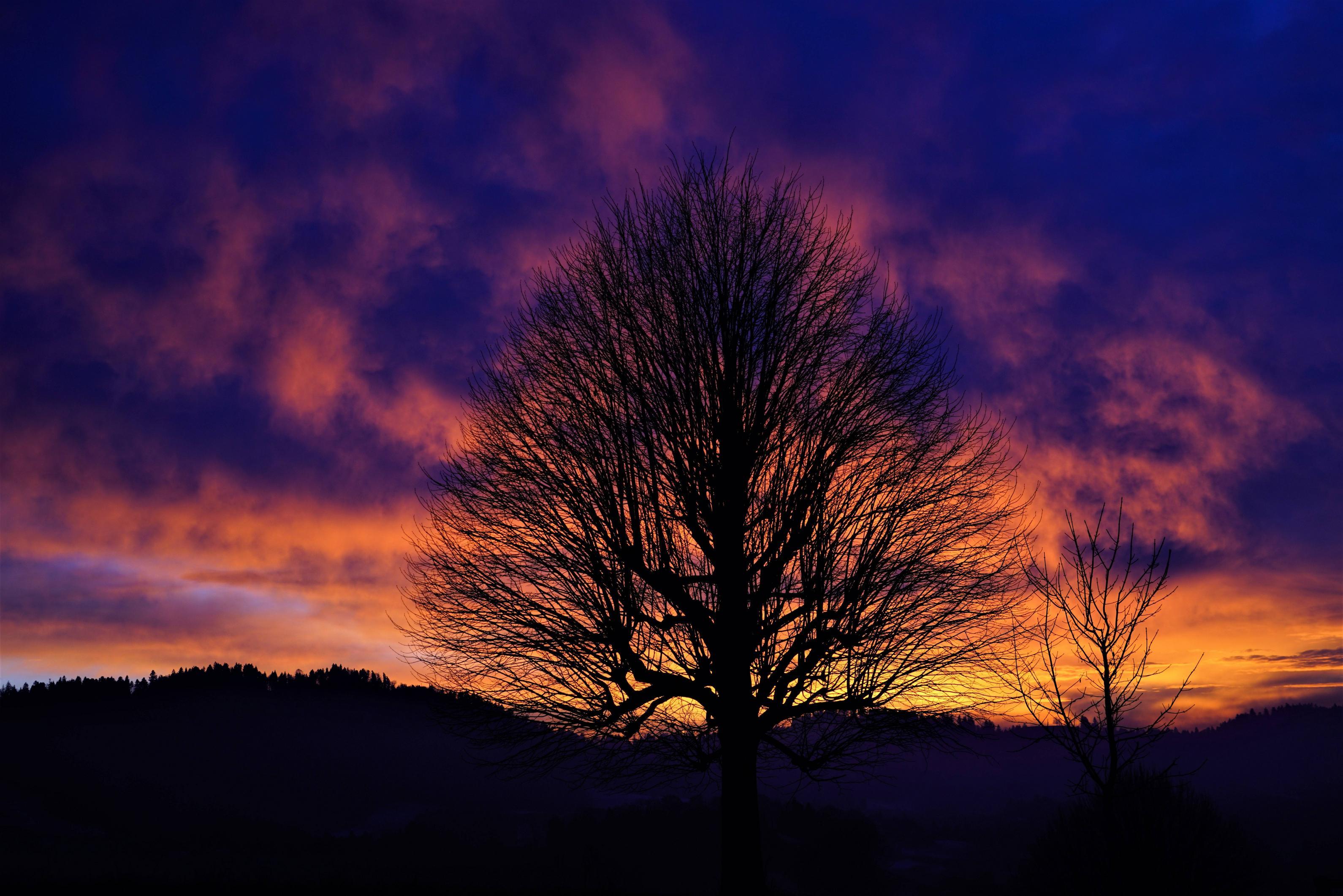 Winter Dusk Wallpapers - Top Free Winter Dusk Backgrounds - WallpaperAccess