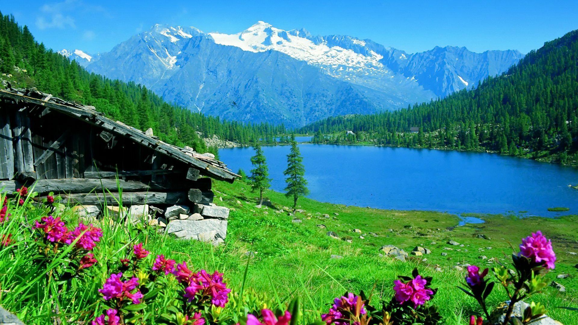 Flowers and Lakes Wallpapers - Top Free Flowers and Lakes Backgrounds ...