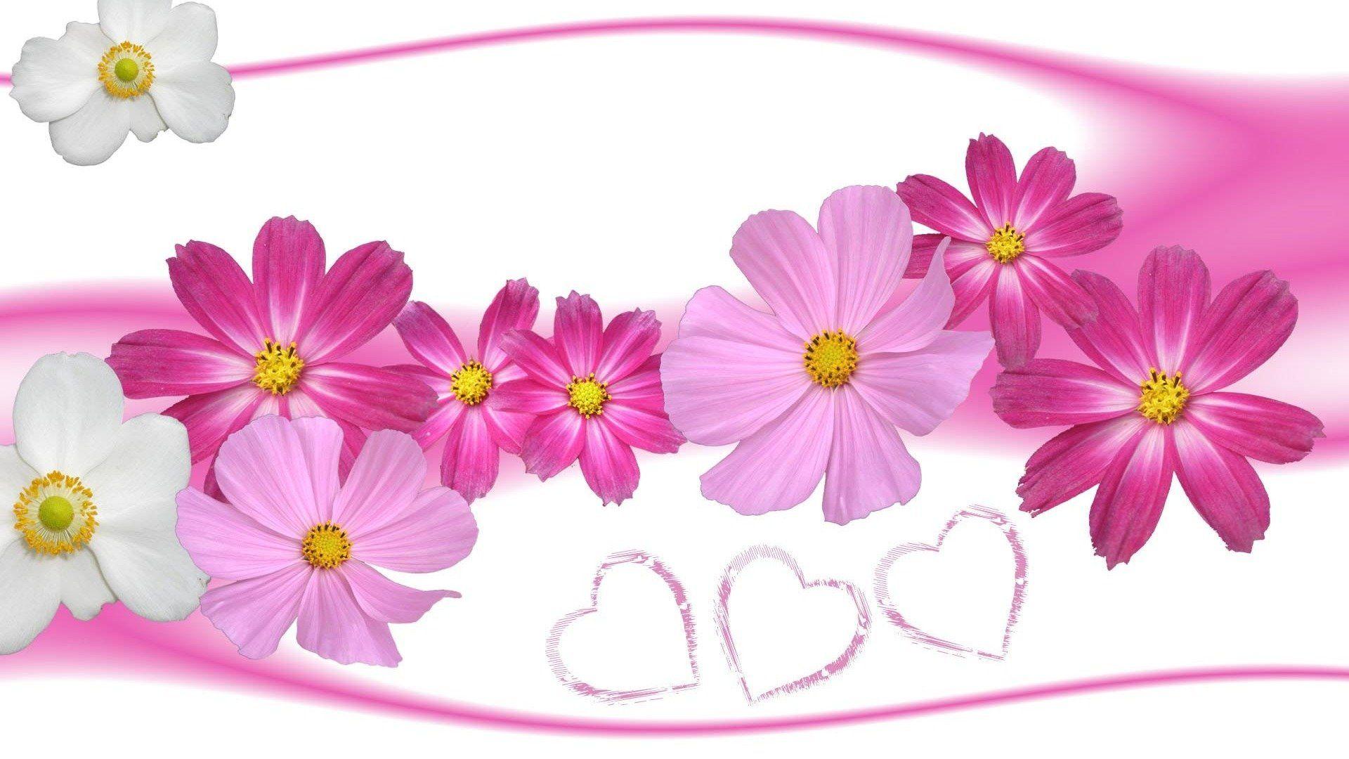 Hearts and Flowers Wallpapers - Top Free Hearts and Flowers Backgrounds ...