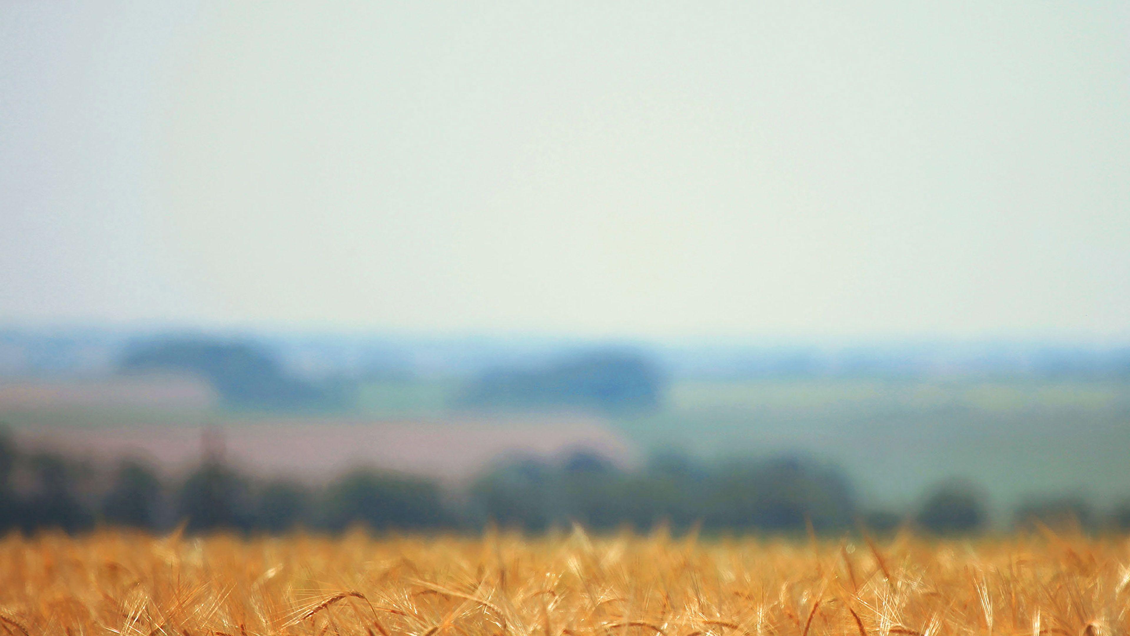 Minimal Nature Desktop Wallpapers - Top Free Minimal Nature Desktop ...