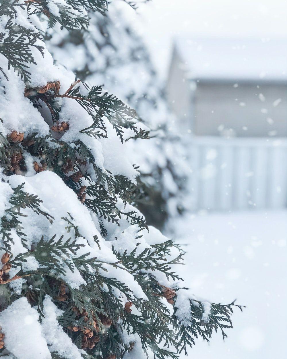 Cool Snowy Wallpapers - Top Free Cool Snowy Backgrounds - WallpaperAccess
