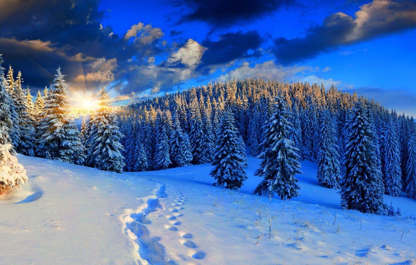 Cool Snowy Wallpapers - Top Free Cool Snowy Backgrounds - WallpaperAccess
