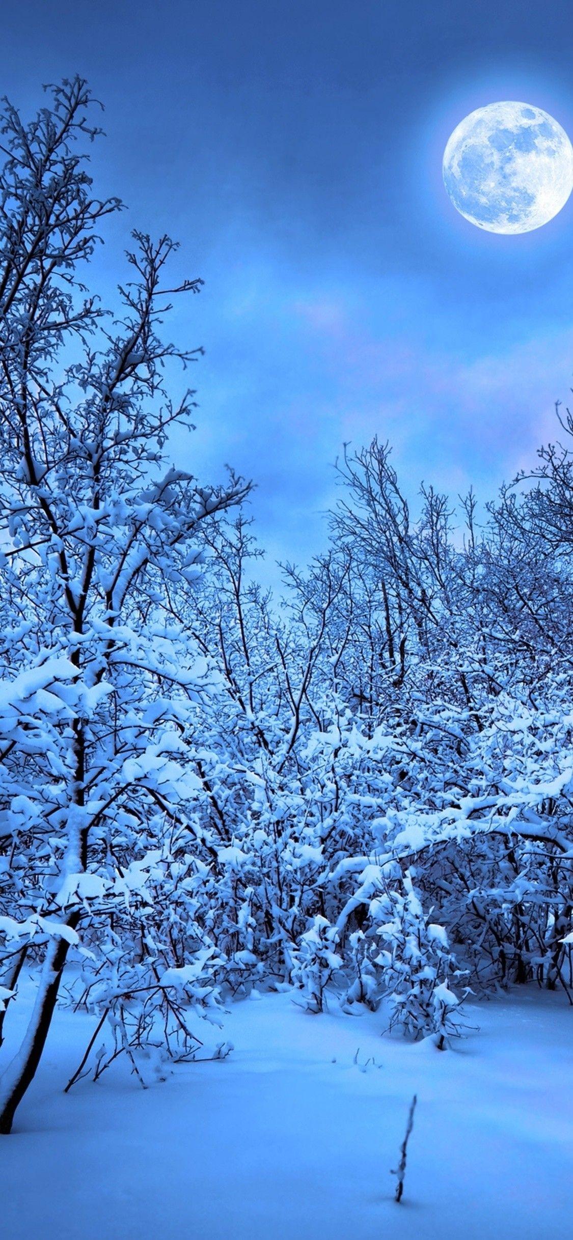 Cool Snowy Wallpapers - Top Free Cool Snowy Backgrounds - WallpaperAccess