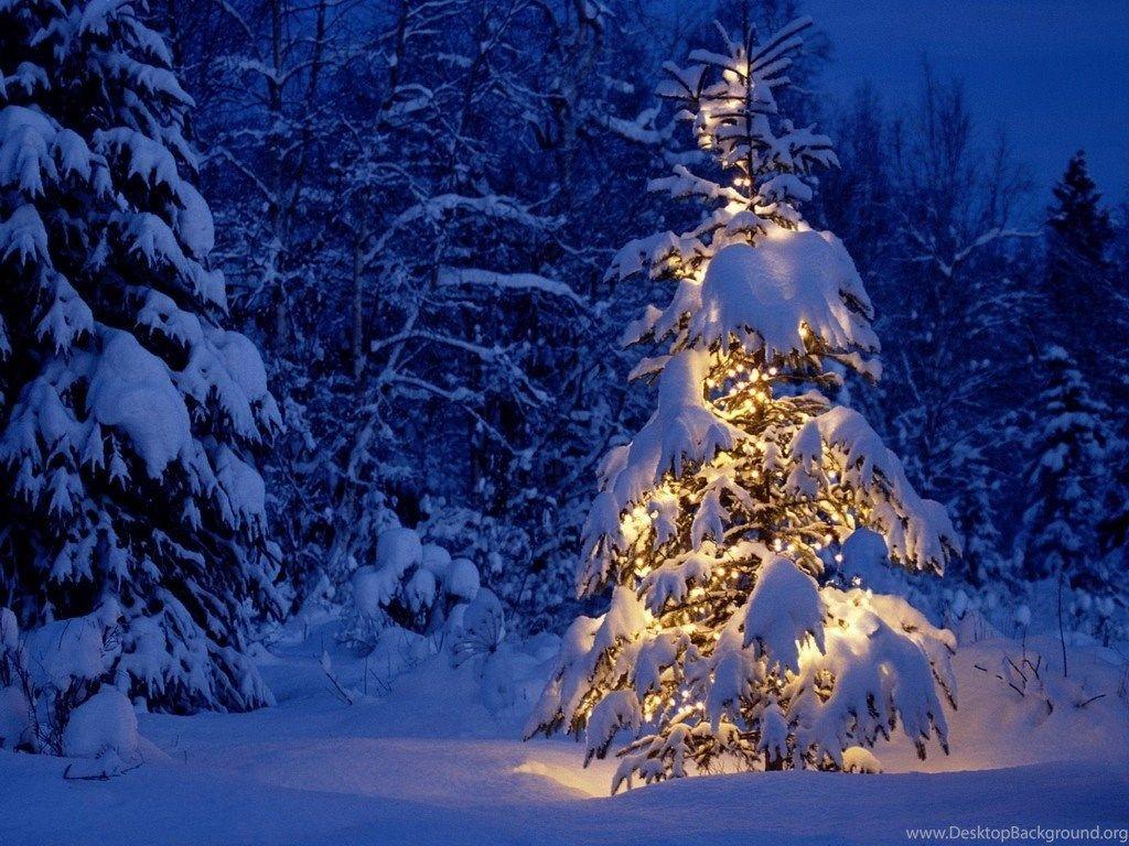 Cool Snowy Wallpapers - Top Free Cool Snowy Backgrounds - WallpaperAccess