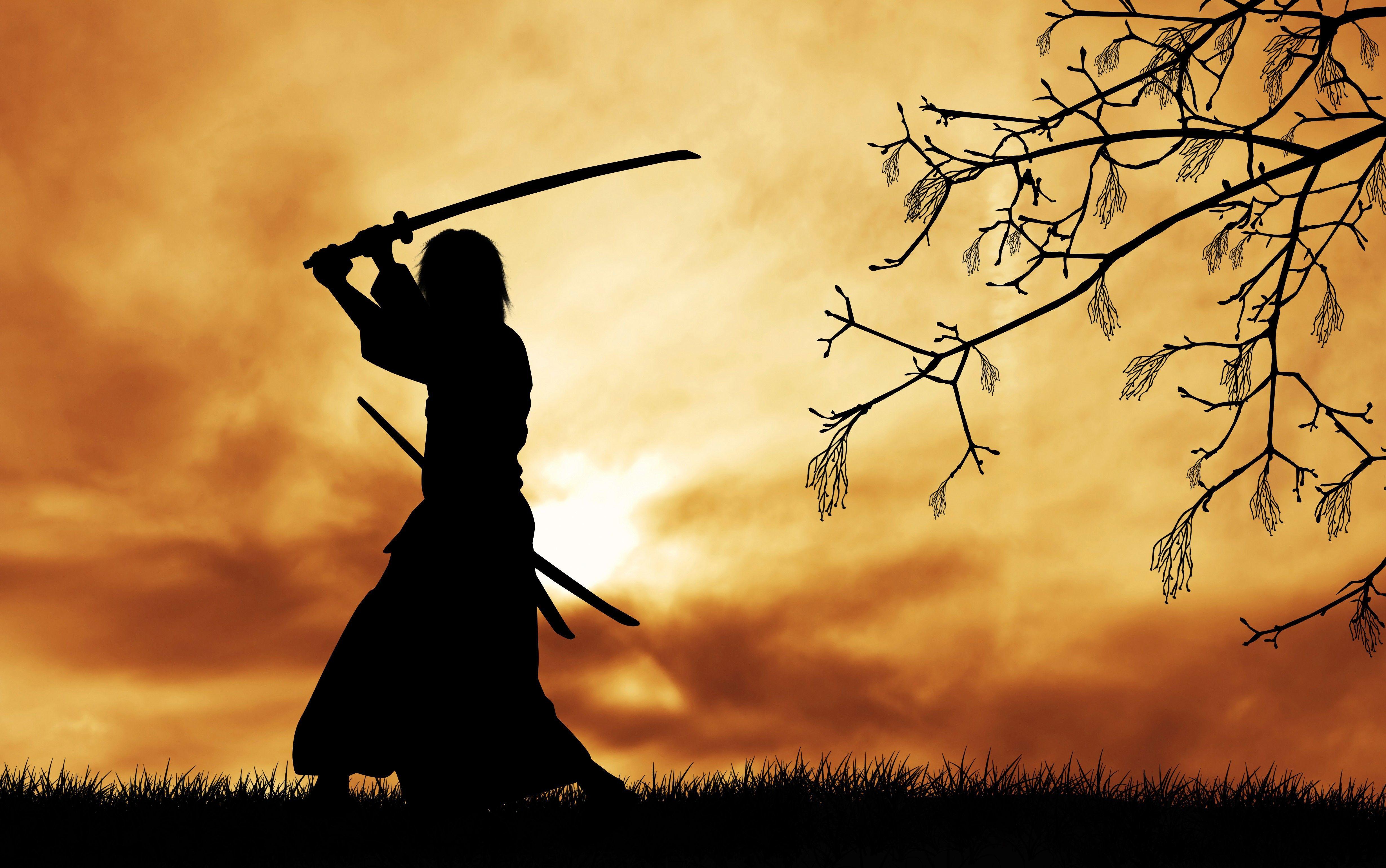 Samurai Katana Wallpapers - Top Free Samurai Katana Backgrounds ...