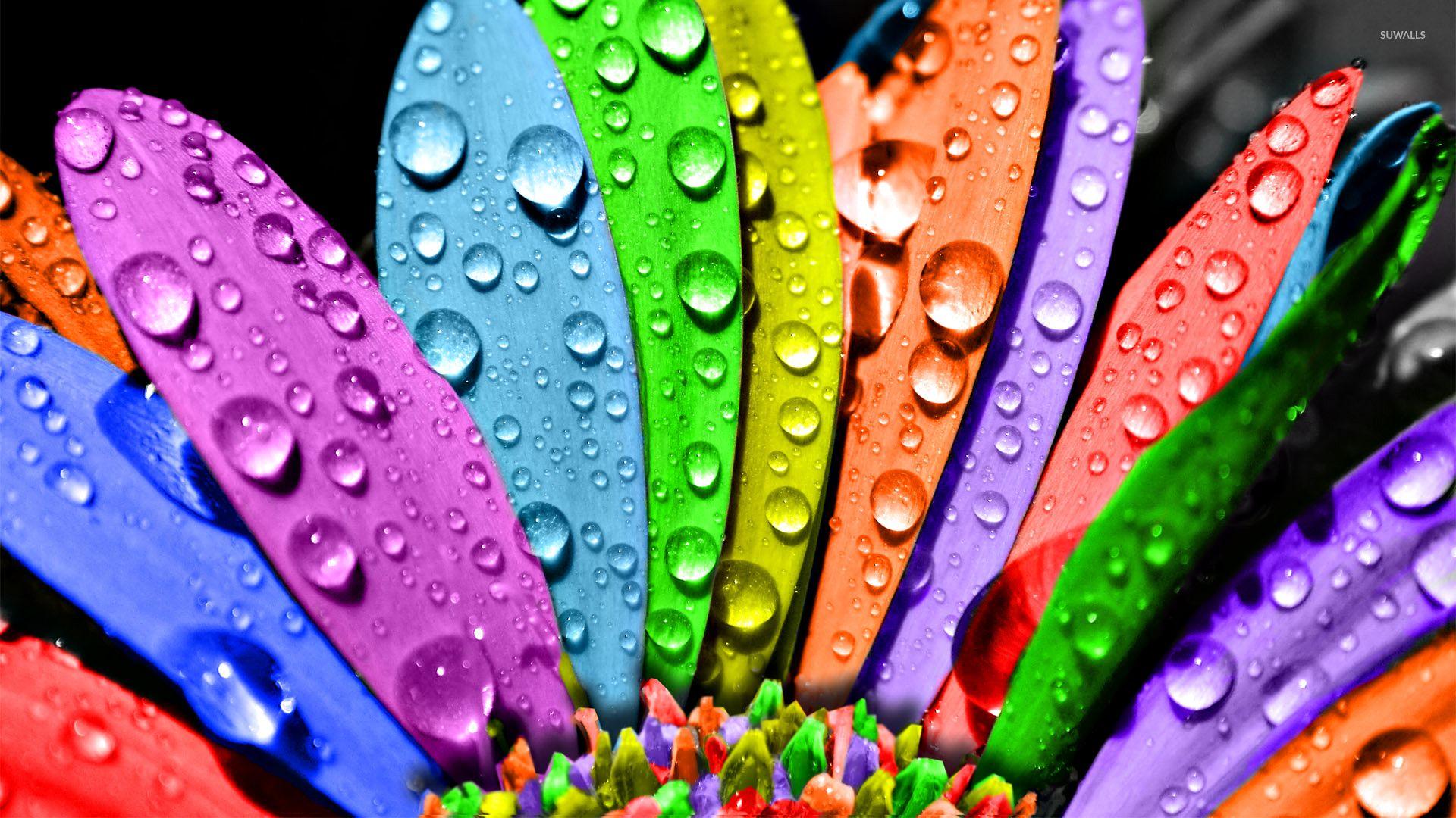 Colorful Flower Art Wallpapers - Top Free Colorful Flower Art ...