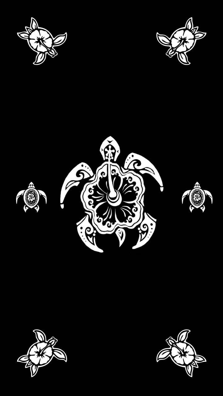 Black Turtle Wallpapers - Top Free Black Turtle Backgrounds ...