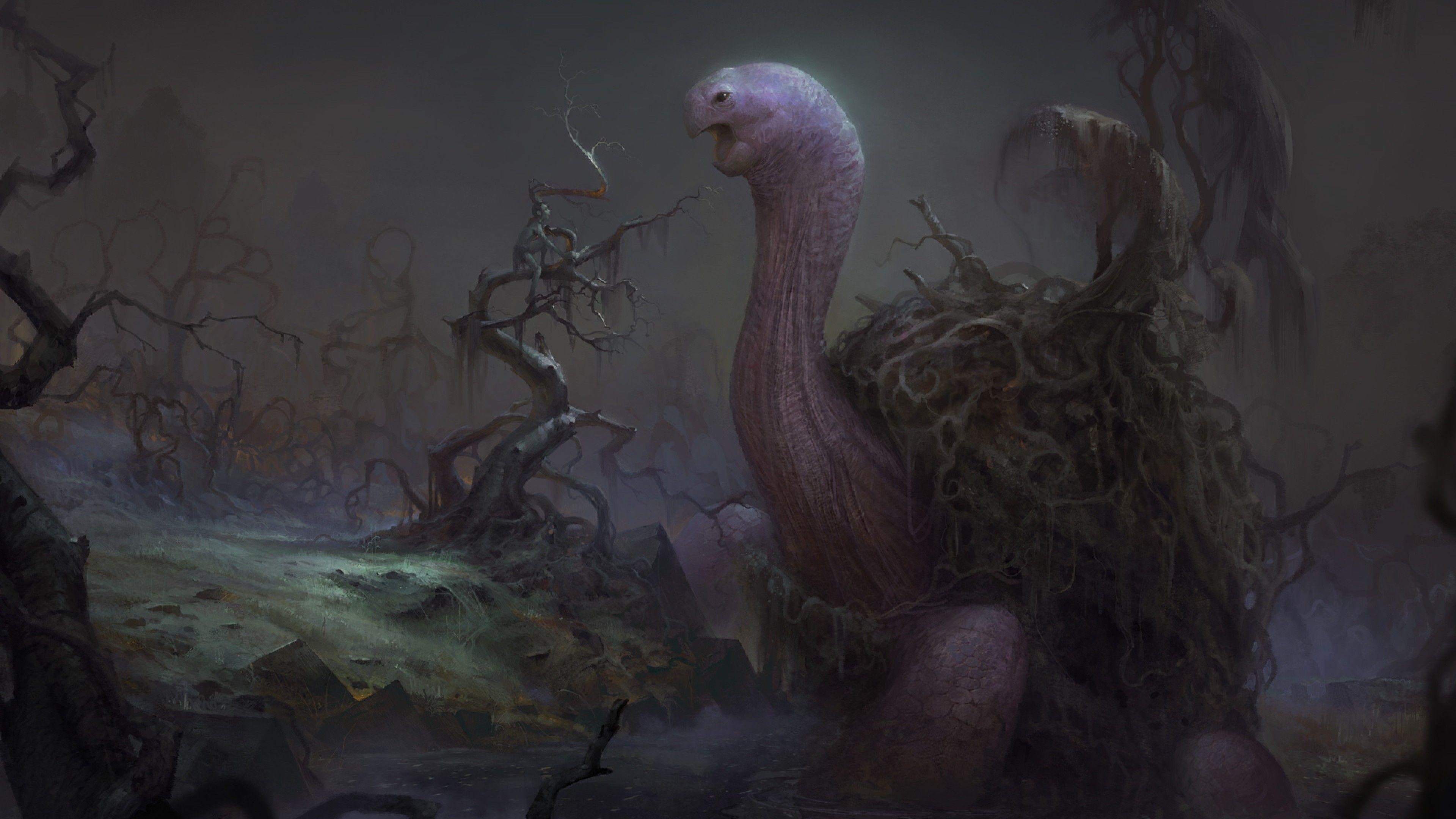 Black Turtle Wallpapers - Top Free Black Turtle Backgrounds ...