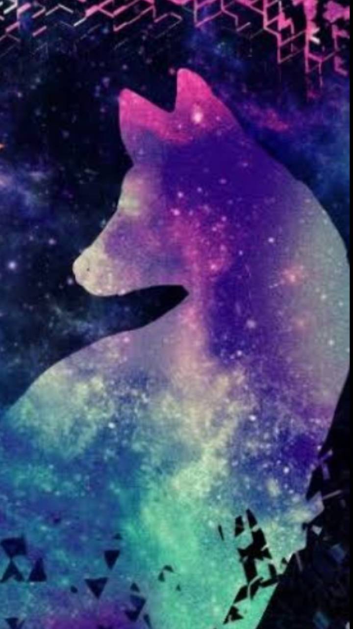 Fox Galaxy Wallpapers - Top Free Fox Galaxy Backgrounds - WallpaperAccess