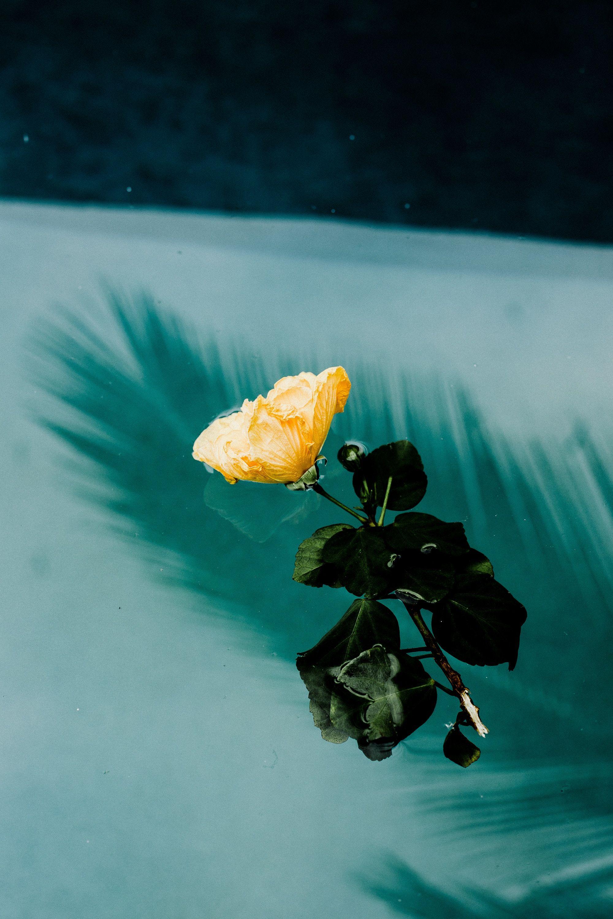 2000x3000 Wallpapers - Top Free 2000x3000 Backgrounds - WallpaperAccess