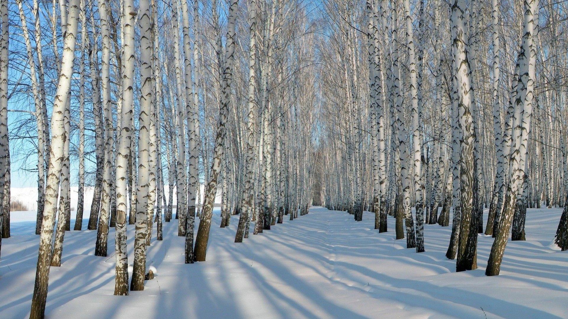 Russia Winter Wallpapers - Top Free Russia Winter Backgrounds ...