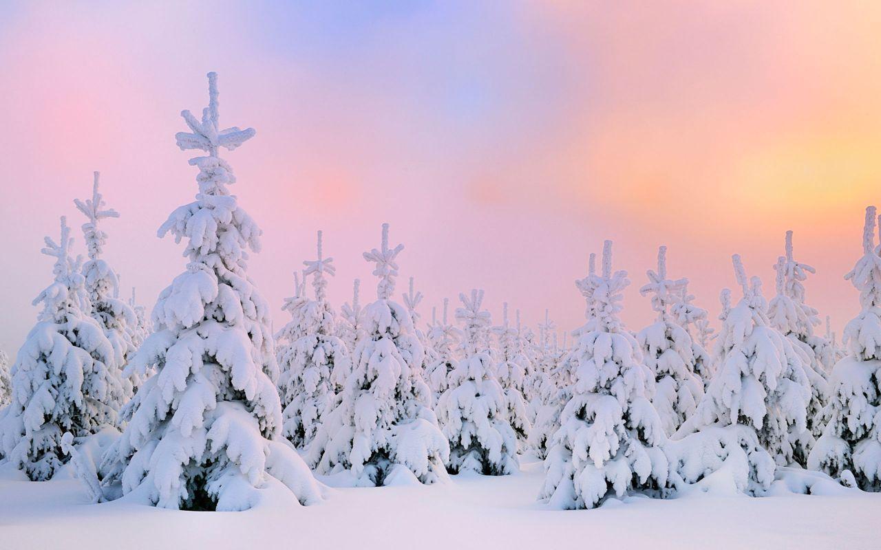 Russia Winter Wallpapers - Top Free Russia Winter Backgrounds ...