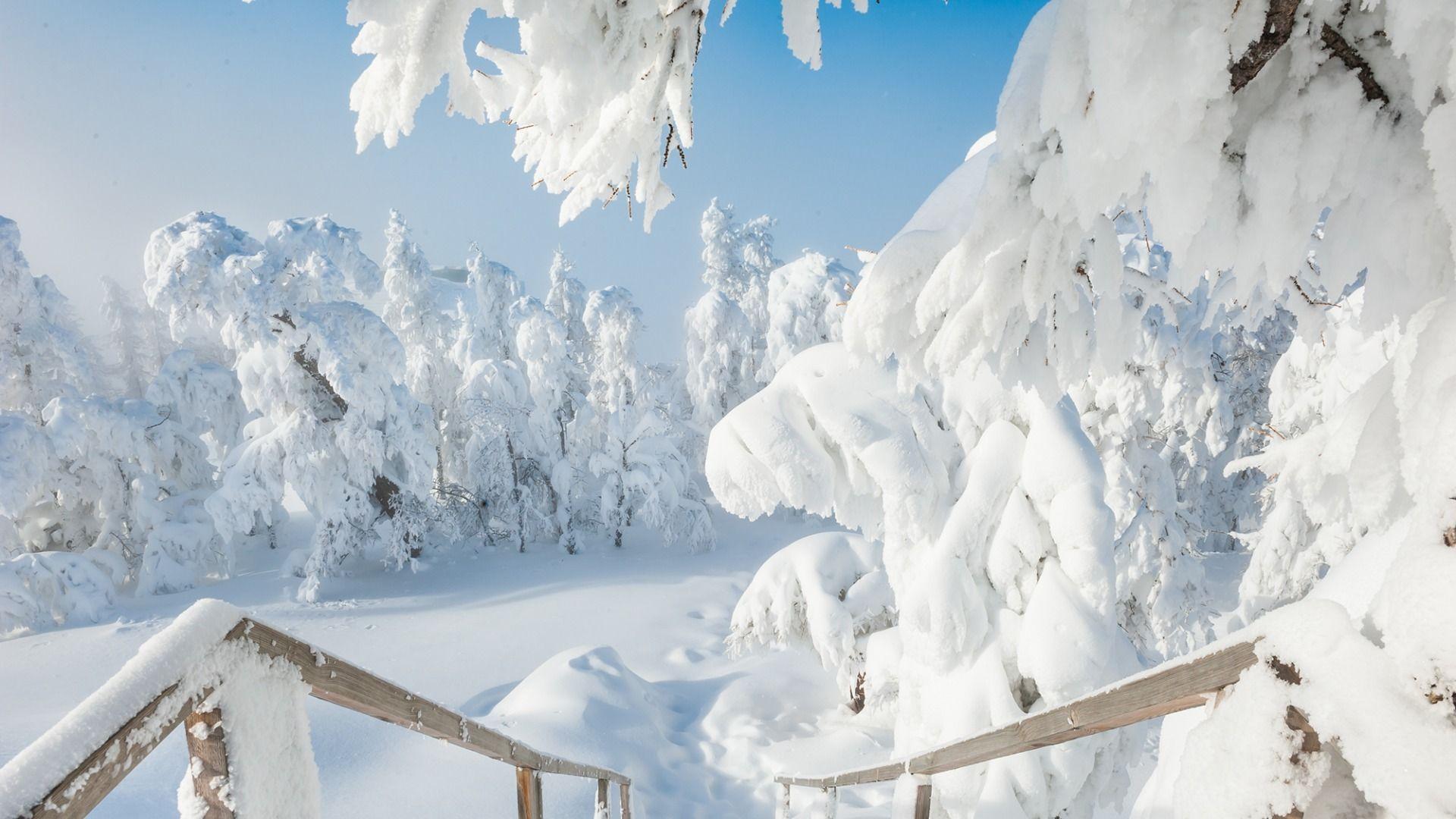 Russia Winter Wallpapers - Top Free Russia Winter Backgrounds ...