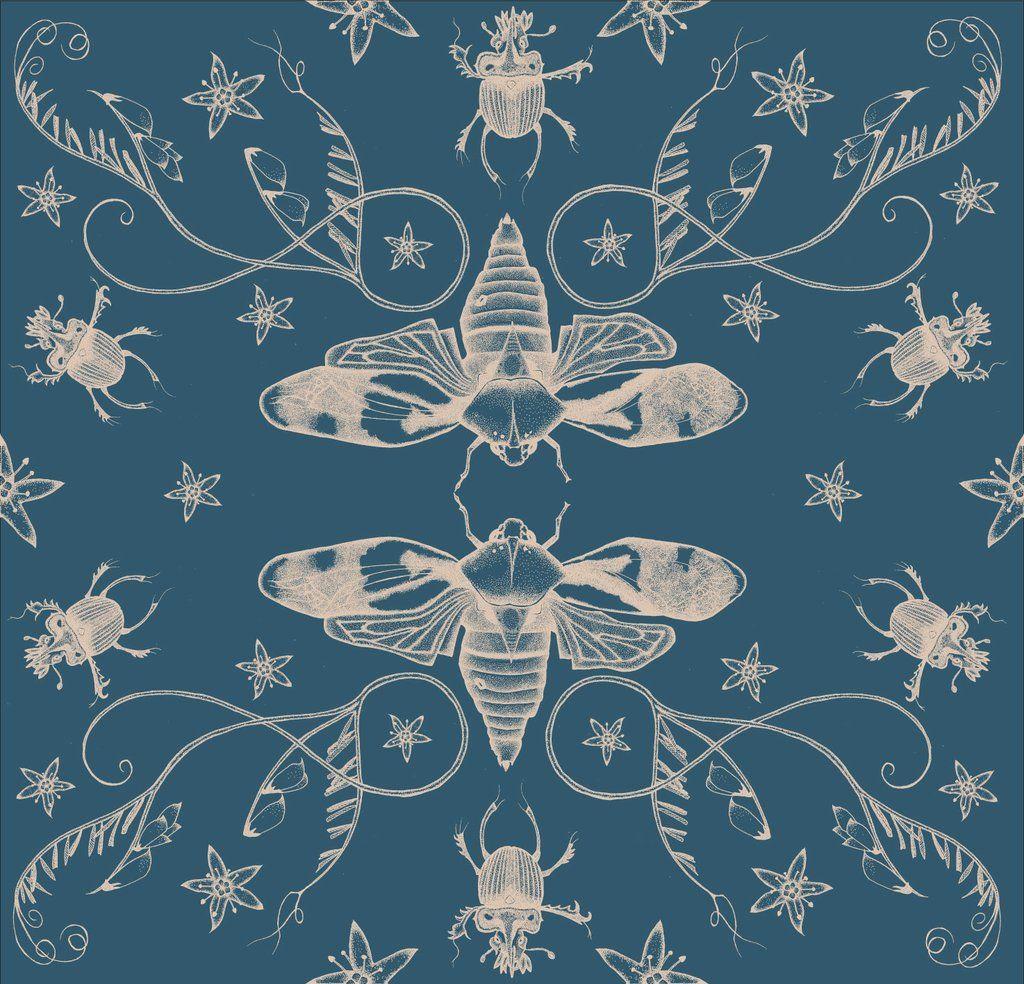 Cicada Wallpapers - Top Free Cicada Backgrounds - WallpaperAccess