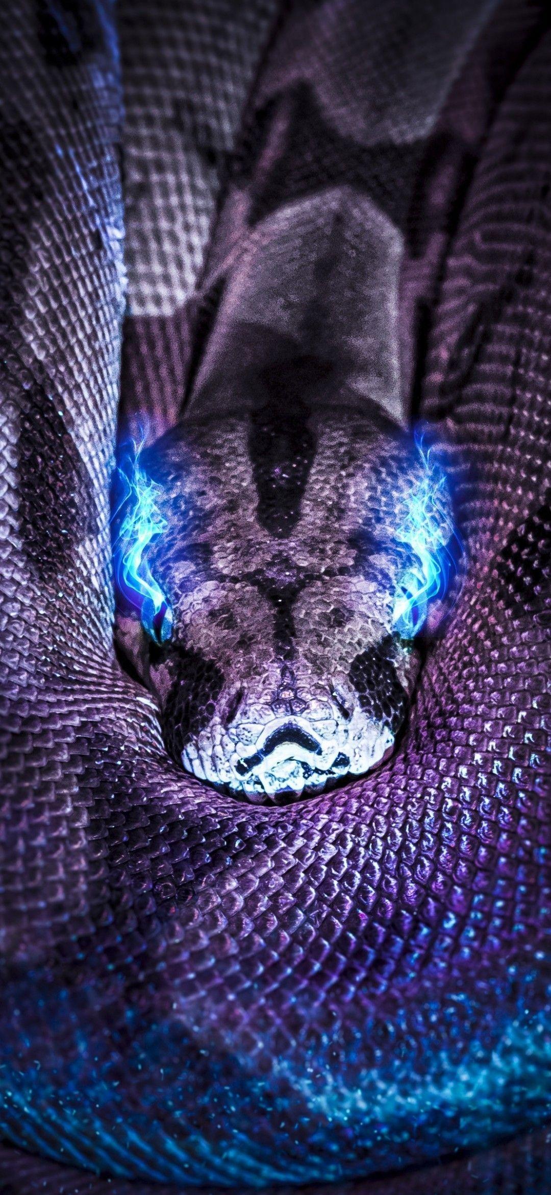 Viber Wallpapers - Top Free Viber Backgrounds - WallpaperAccess