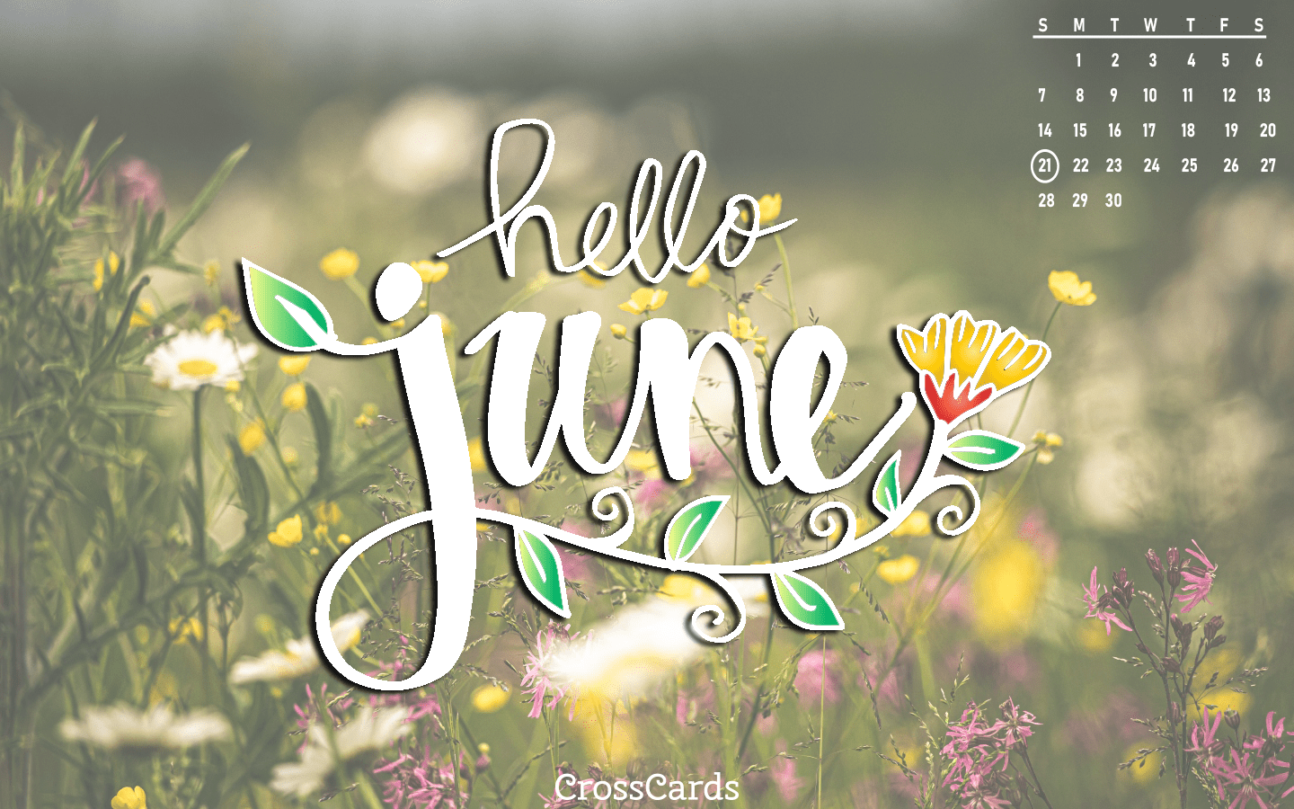 June 2021 Calendar Wallpapers - Top Free June 2021 Calendar Backgrounds ...