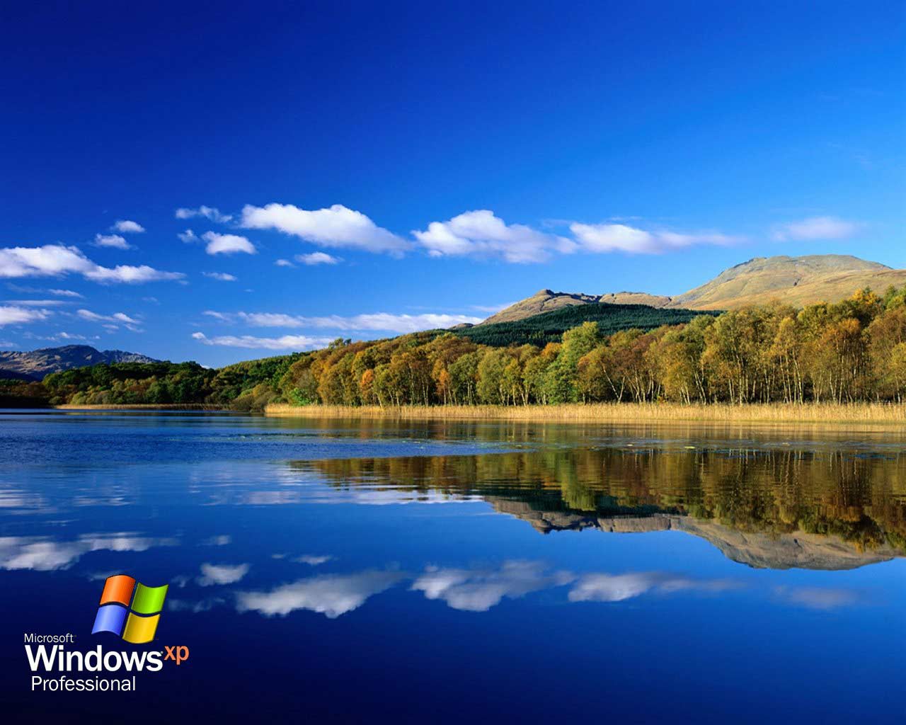 Microsoft Windows XP Professional Wallpapers - Top Free Microsoft ...