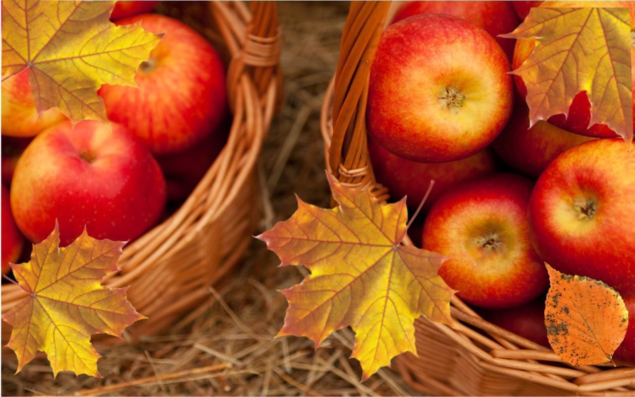 Autumn Apples Wallpapers - Top Free Autumn Apples Backgrounds ...
