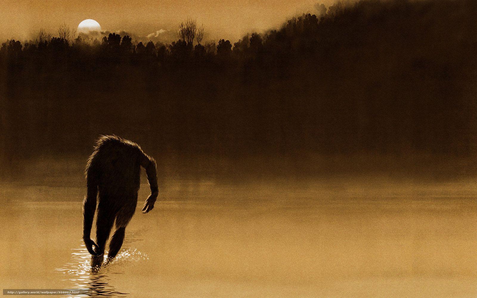 Sasquatch Wallpapers - Top Free Sasquatch Backgrounds - WallpaperAccess