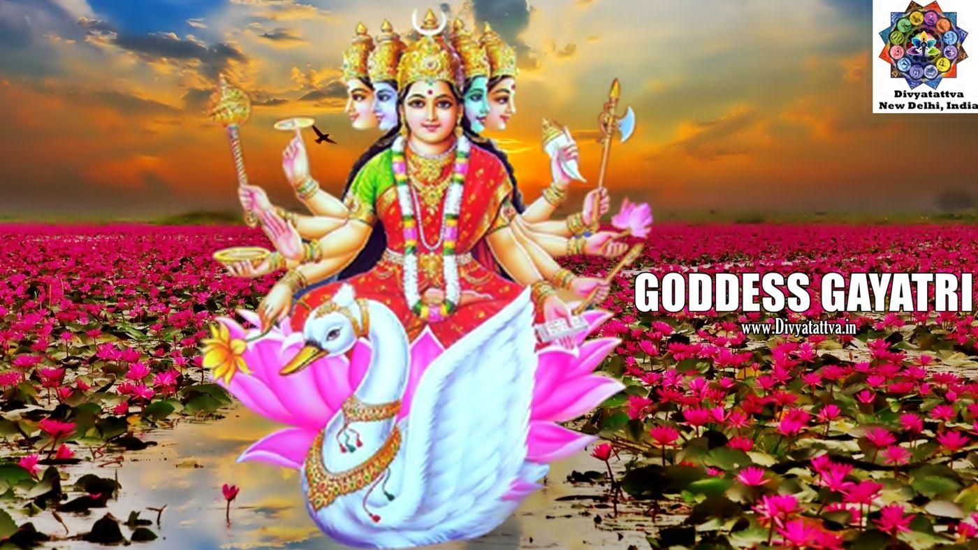 Gayatri Mata Wallpapers - Top Free Gayatri Mata Backgrounds ...