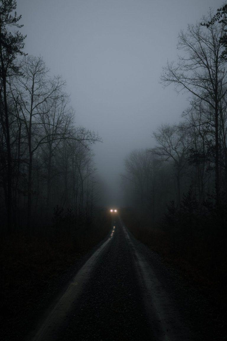 Dark Forest Road Wallpapers - Top Free Dark Forest Road Backgrounds ...