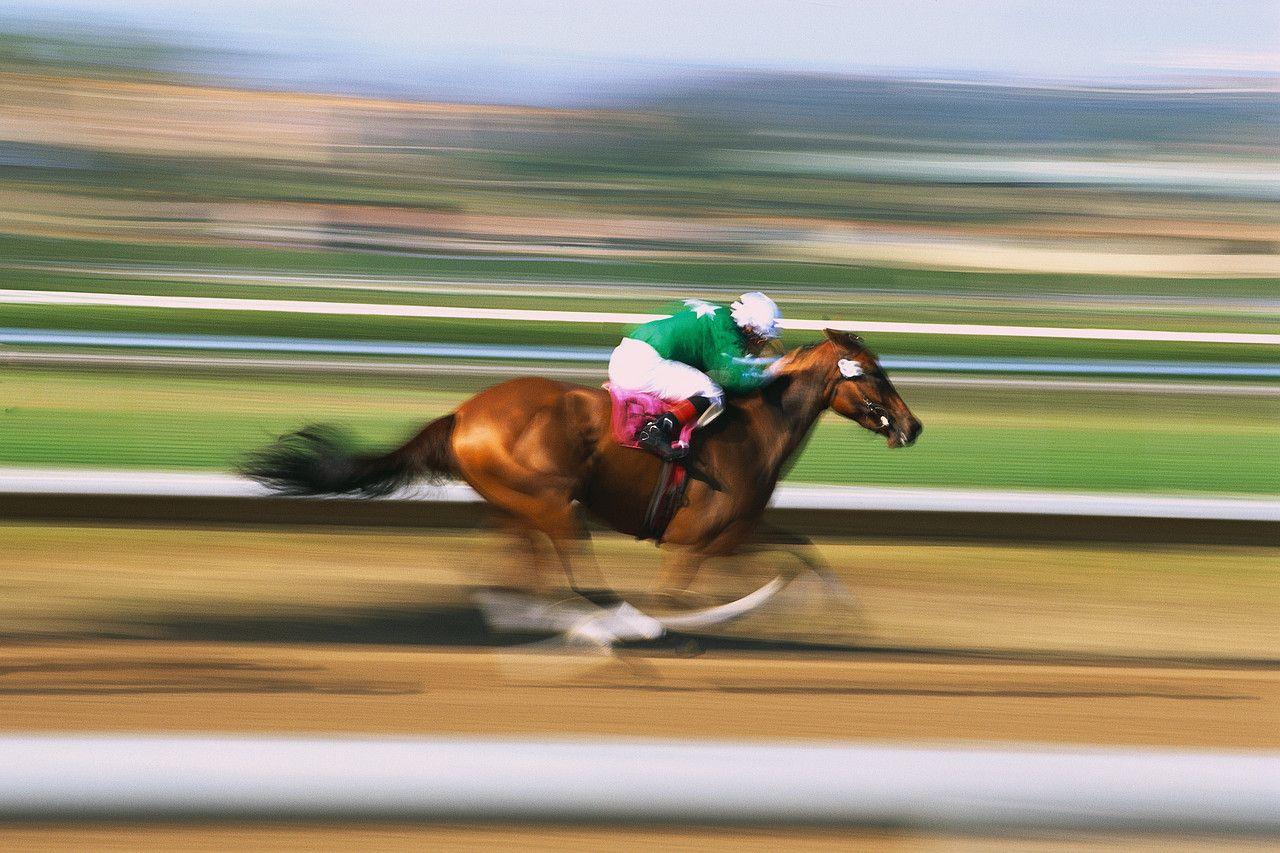 Racehorse Wallpapers - Top Free Racehorse Backgrounds - WallpaperAccess