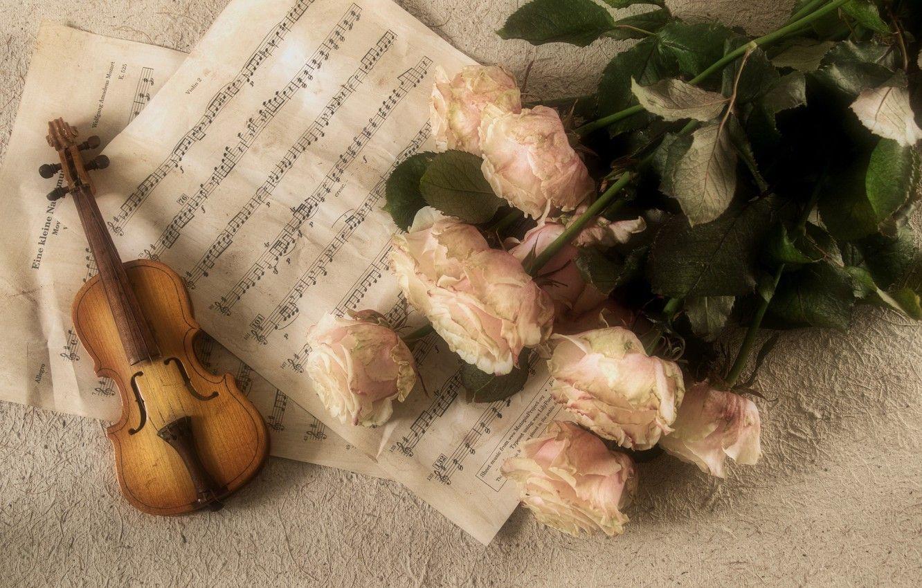 Classical Music Desktop Wallpapers - Top Free Classical Music Desktop ...