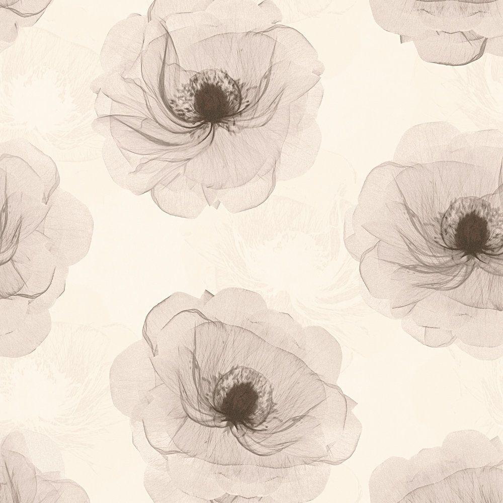 Brown and Cream Wallpapers - Top Free Brown and Cream Backgrounds ...